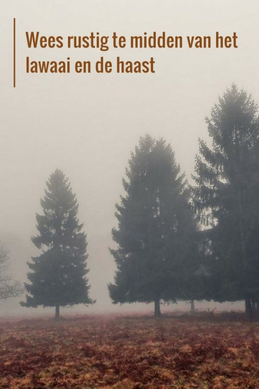 Desiderata | Leen De Vos